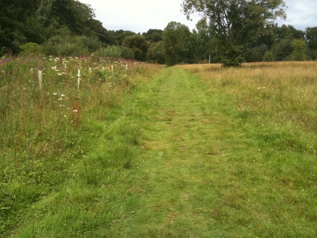 Phototrails - Phototrails